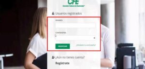 ¿Cómo Pagar el Recibo de Luz de CFE en Línea? 【 2026